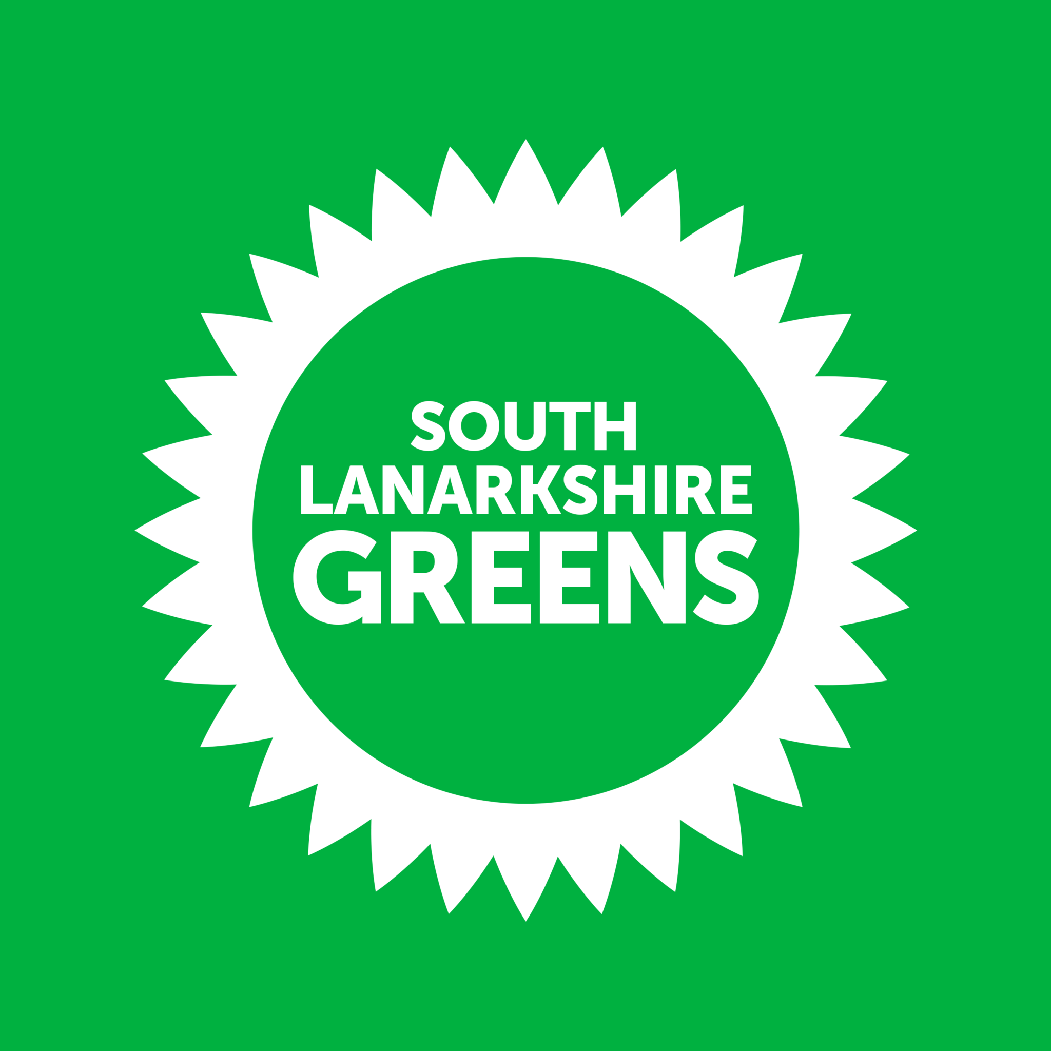 Take action on common complaints – South Lanarkshire Greens